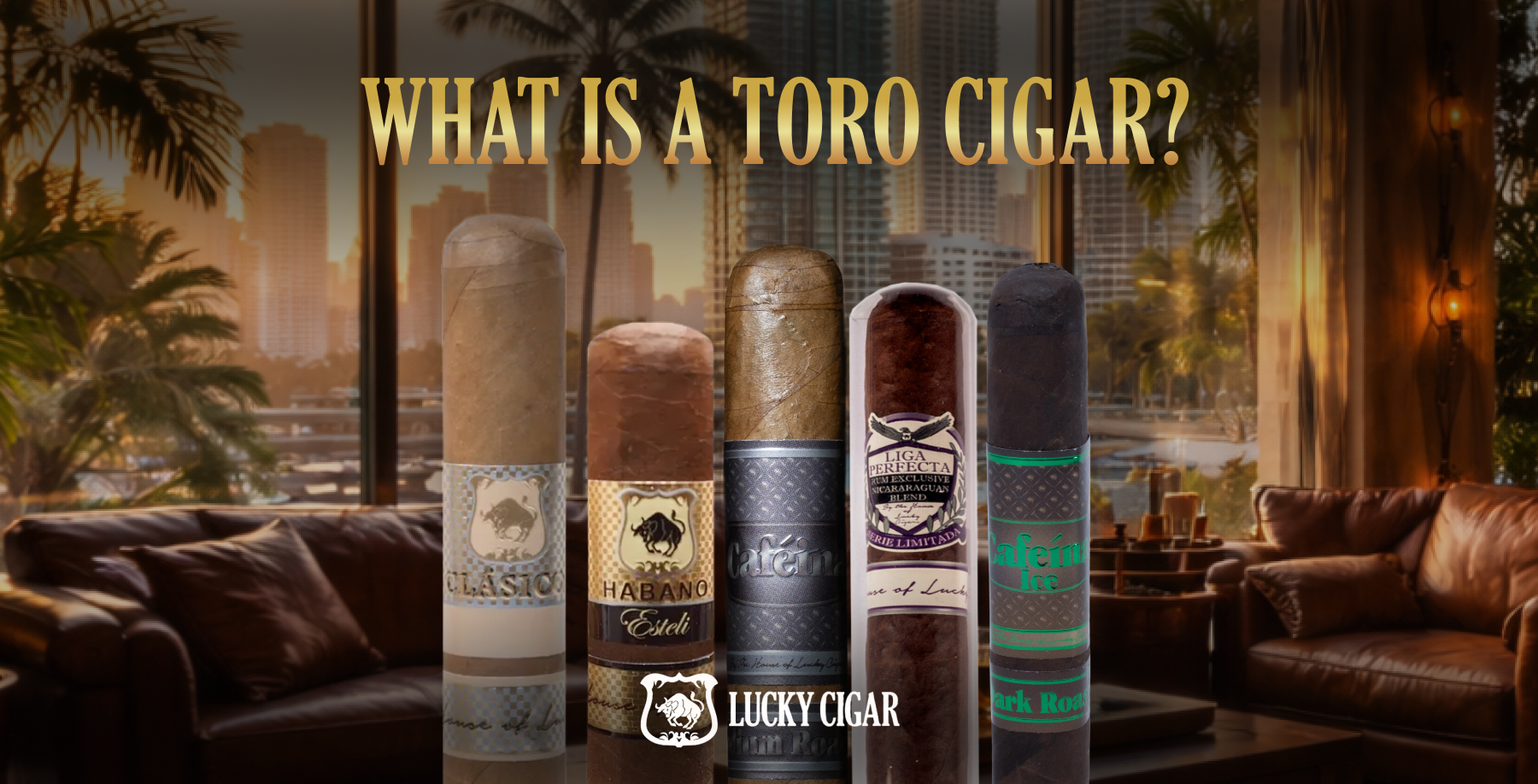 What Is a Toro Cigar and Why It Hits the Spot | LuckyCigar.com – Lucky ...