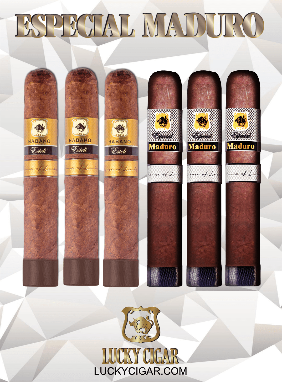 Especial Cigars: 3 Habano Toro & 3 Maduro Toro Set – Lucky Cigar